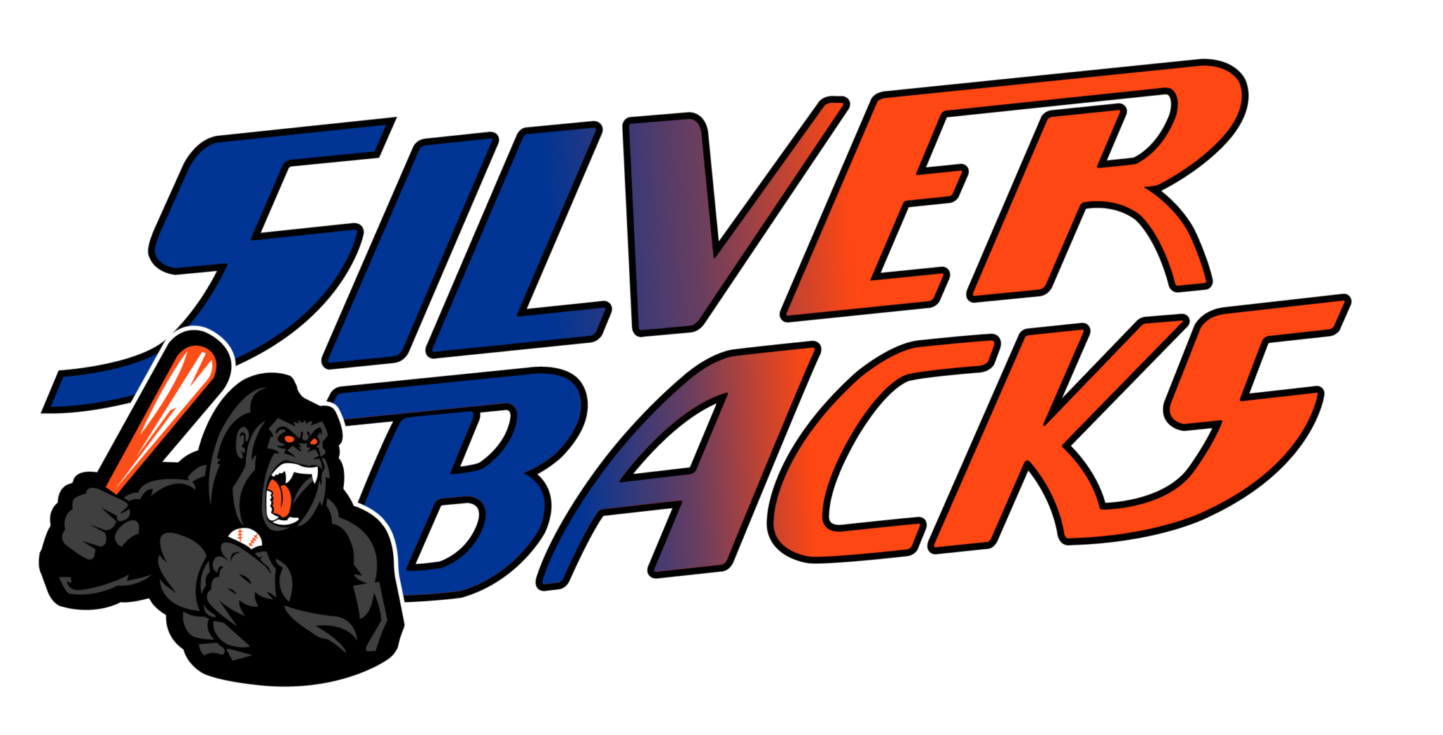 Programs – Silverback Baseball